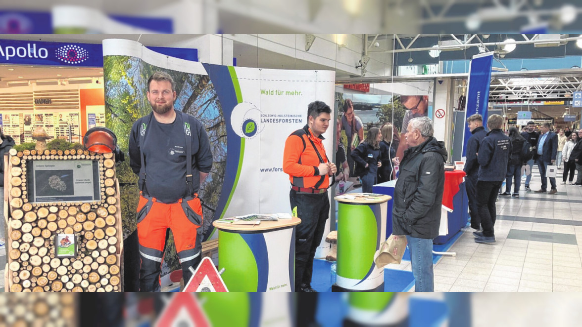 SHZ - Tipps, wie man den passenden Ausbildungsplatz findet: -Melde dich ...