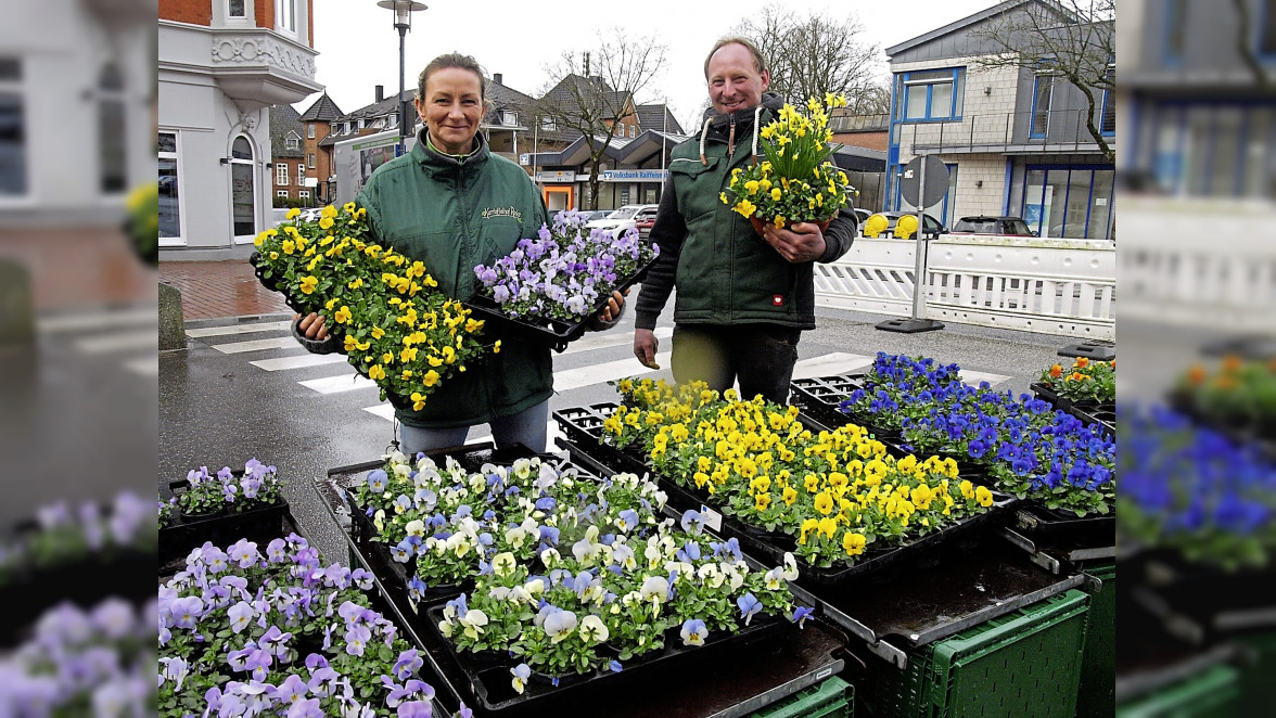 SHZ - Ein vielseitiges Veranstaltungsprogramm mit Highlights wie dem ...