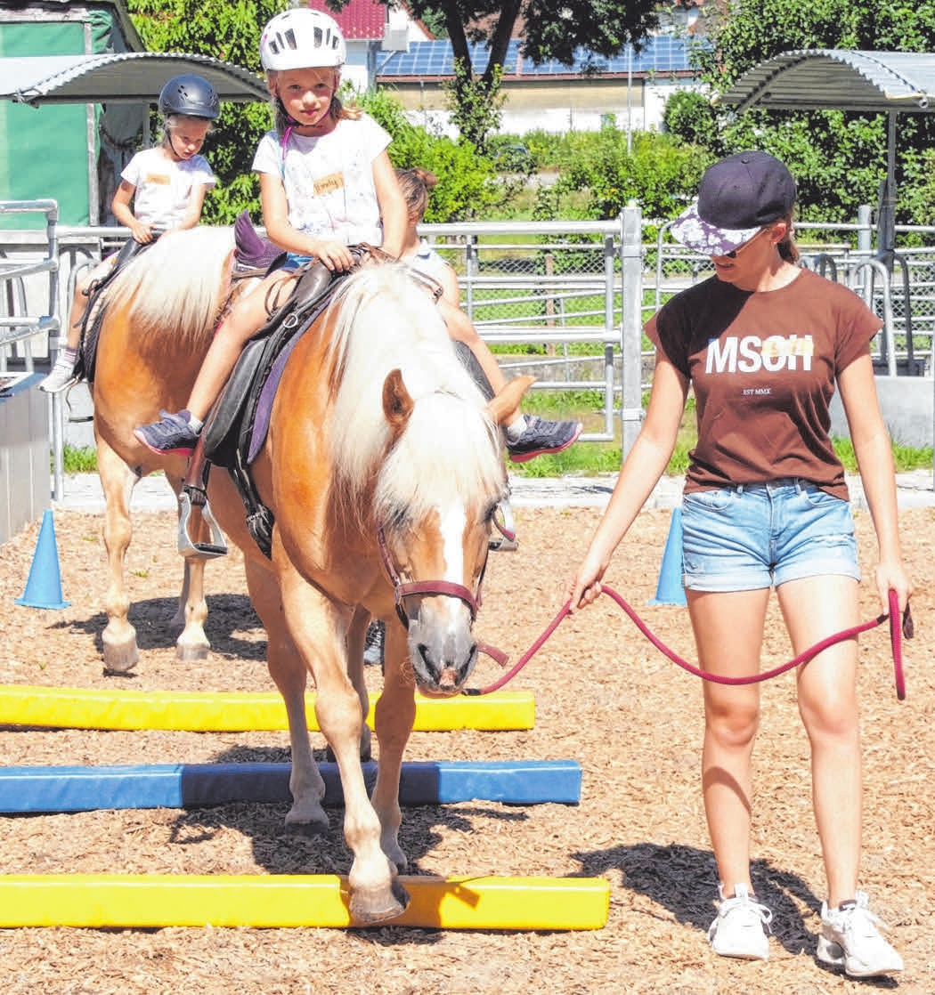 Respektvoller Umgang mit dem Pferd - Schwäbischer Verlag