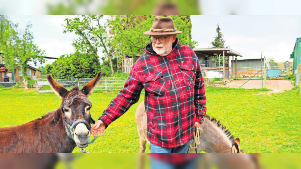 Rolf Müller bietet geführte Touren mit seinen liebenswerten Grautieren ...