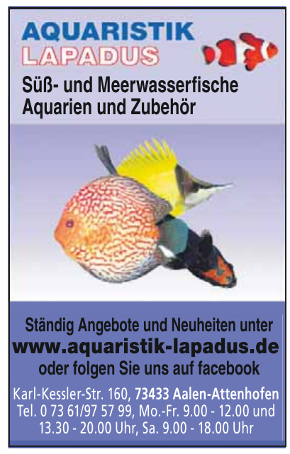 Wasseralfinger Festtage - Schwäbischer Verlag