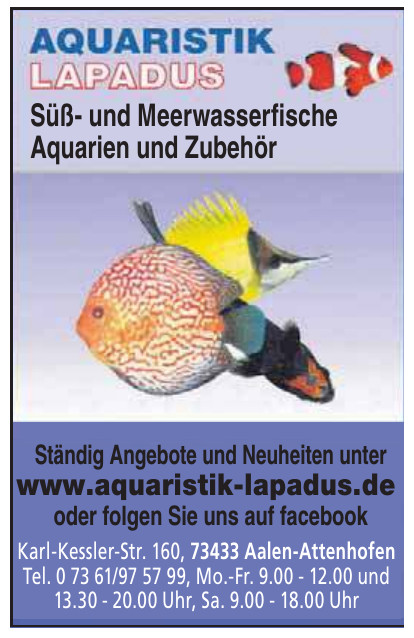 Wasseralfinger Festtage - Schwäbischer Verlag