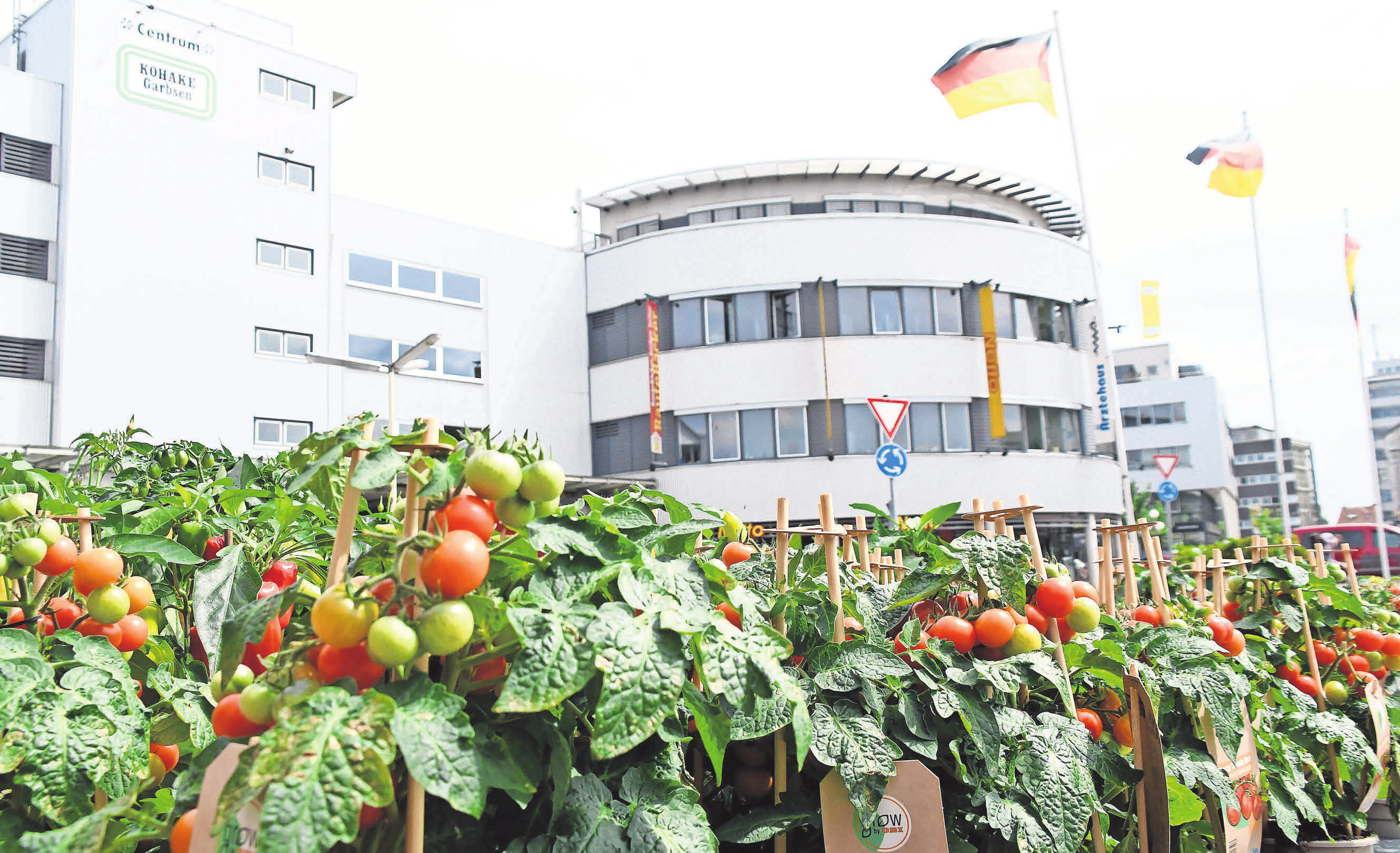 Das Centrum Kohake bietet eine große Auswahl an Sonnensegeln ...