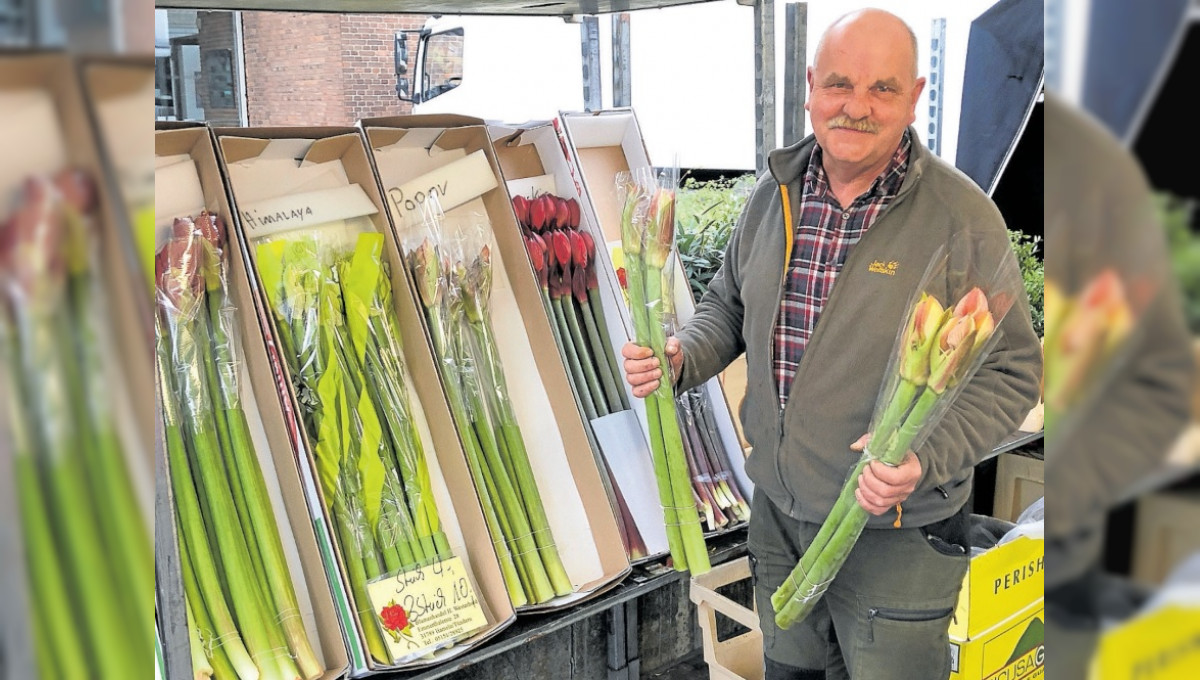 TREFFPUNKT HAMELNER WOCHENMARKT - DeWeZet