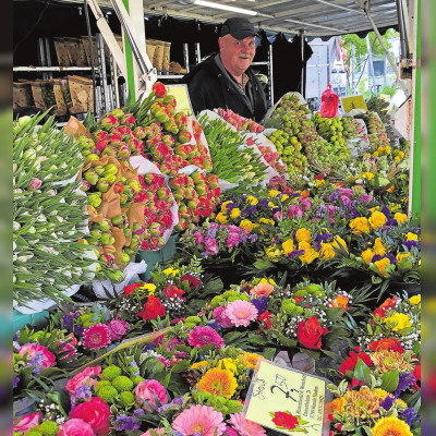 TREFFPUNKT HAMELNER WOCHENMARKT - DeWeZet