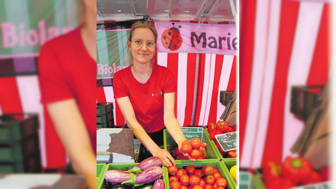 Am Stand des Bioland-Betriebs beim Wochenmarkt in Hameln können Sorten ...