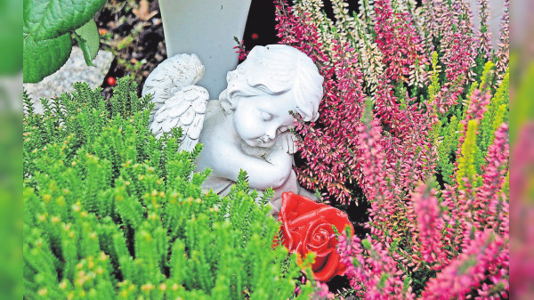 STILLE TAGE IM NOVEMBER - Hannoversche Zeitung