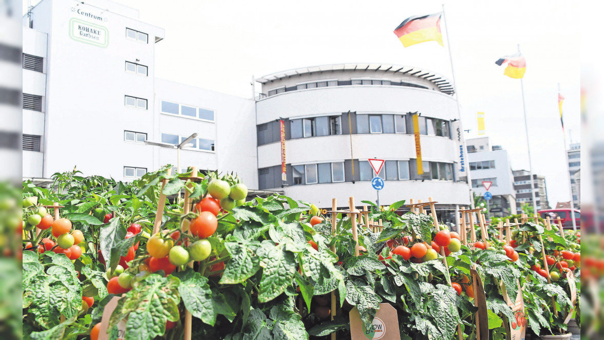 Das Centrum Kohake bietet eine große Auswahl an Sonnensegeln ...