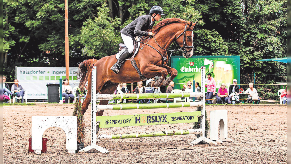 GROSSES DRESSUR- UND SPRINGTURNIER - Hannoversche Zeitung