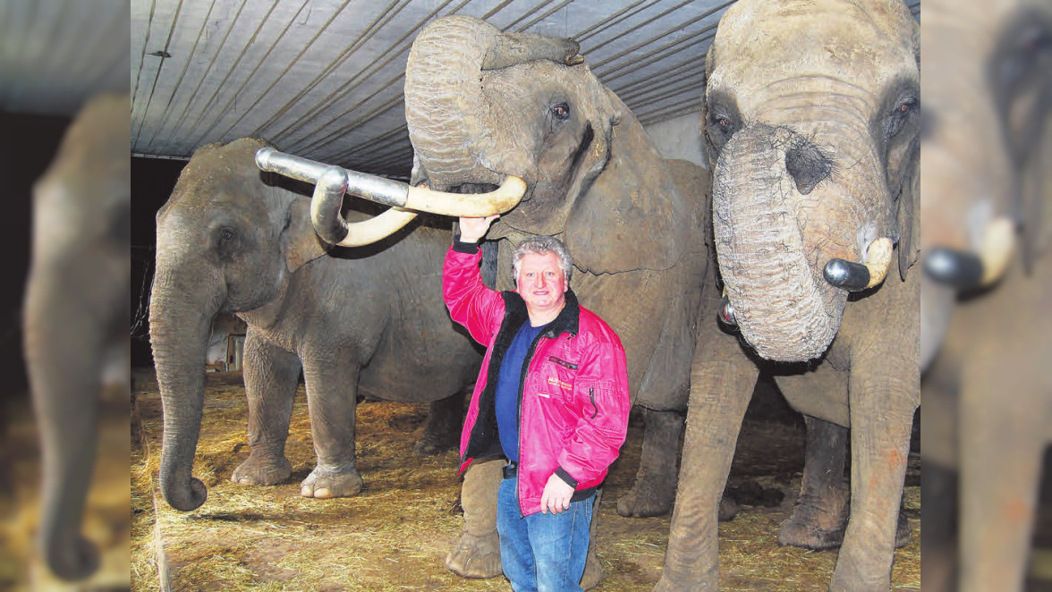 Saisoneröffnung im Elefantenreservat - Leipziger Volkszeitung
