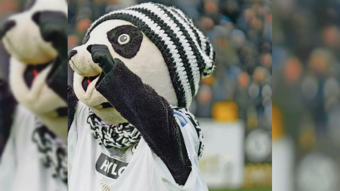 Das Maskottchen der SV Elversberg: Paul zaubert ein Lächeln ins Gesicht